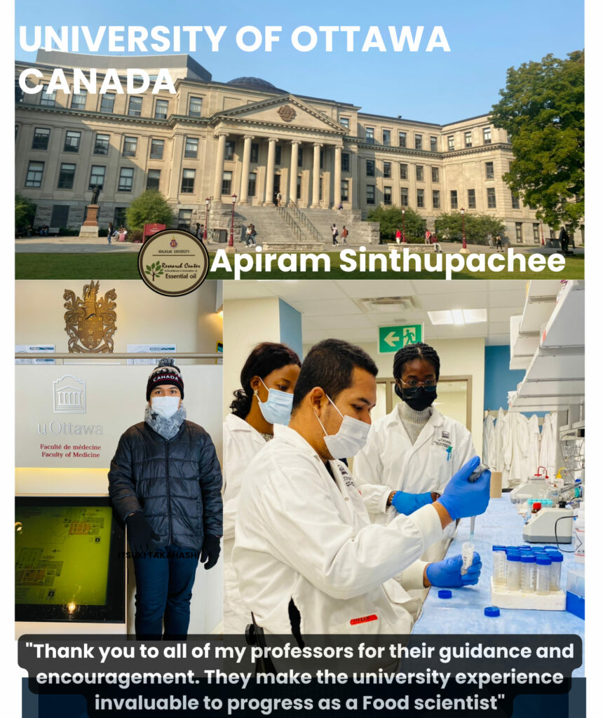 Overseas study and research experience -In every walk with education ...